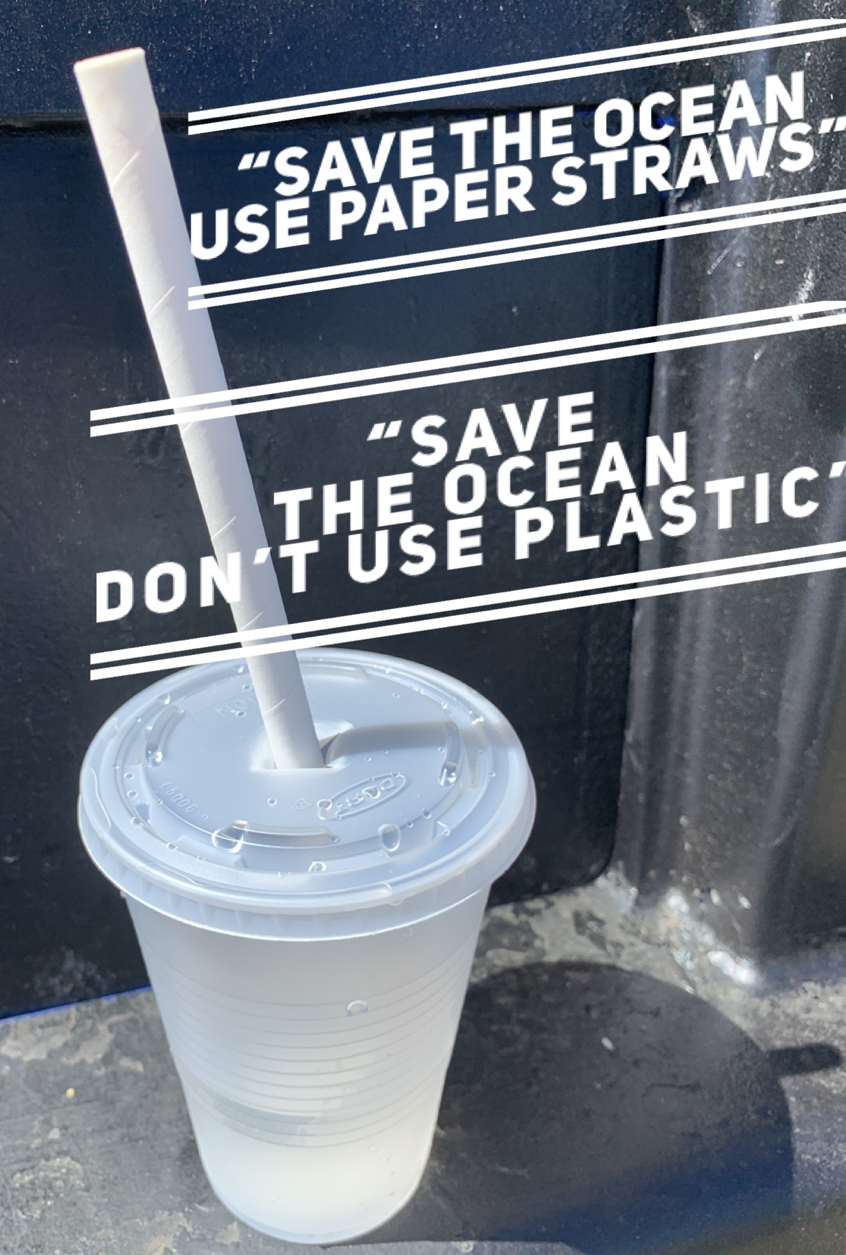 Paper and Plastic – Leonas Lines–Poetry Plus